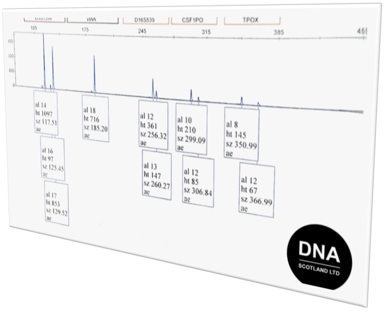 Services - DNA Scotland Ltd Services - DNA Scotland Ltd